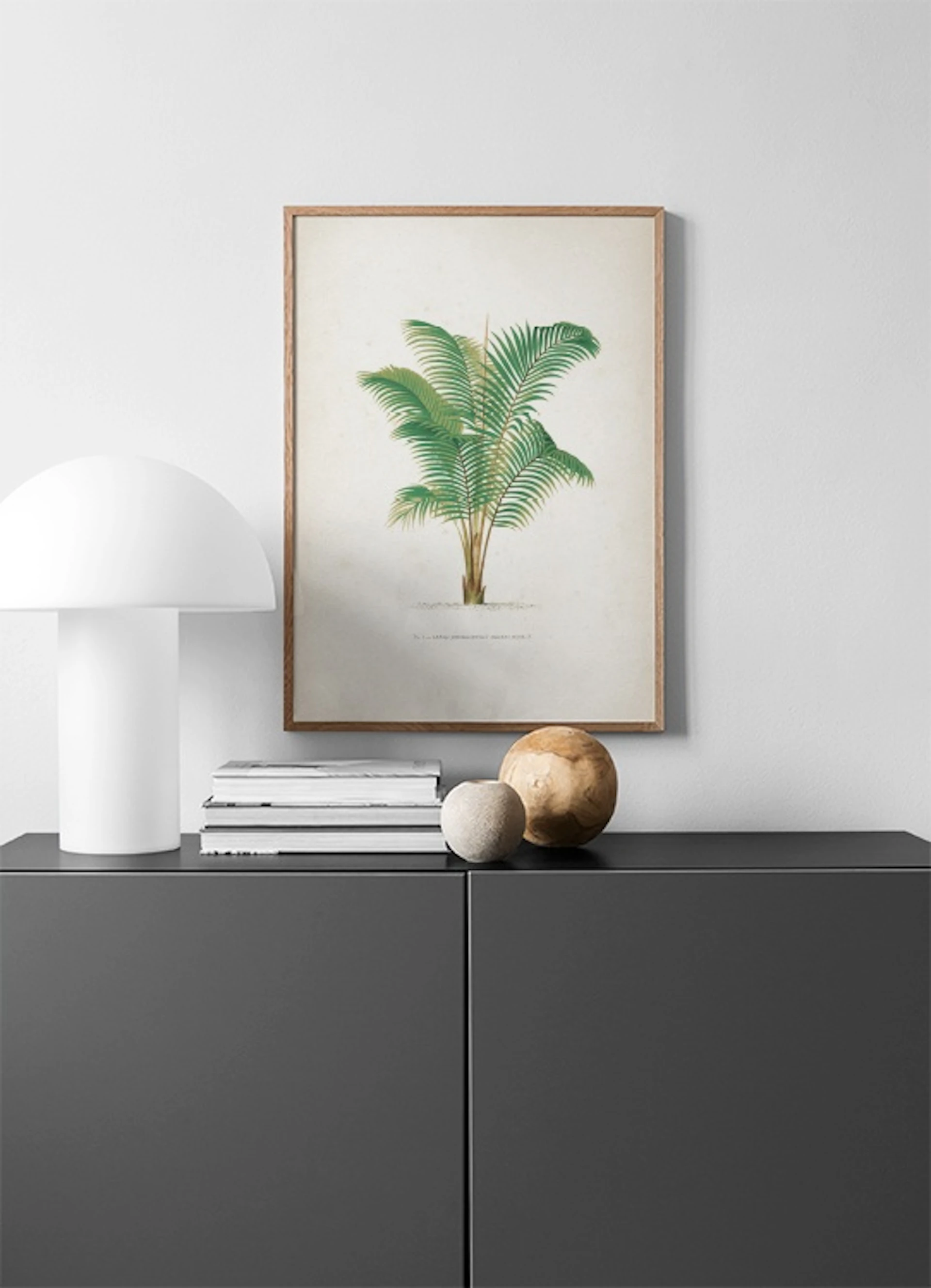 Vintage Print Collection No4 Poster