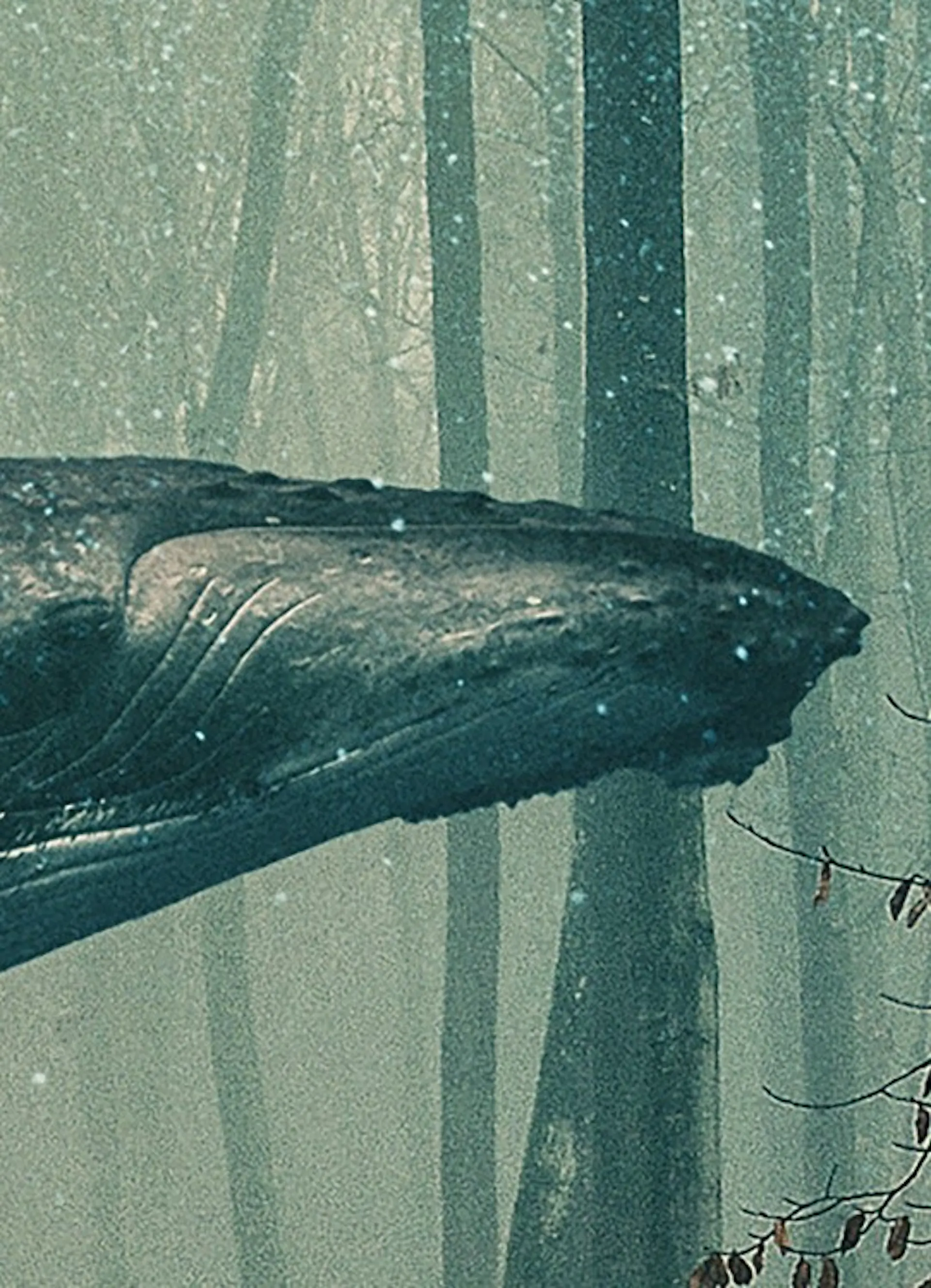 Whale in Forest Poster - Forest whale - desenio.com