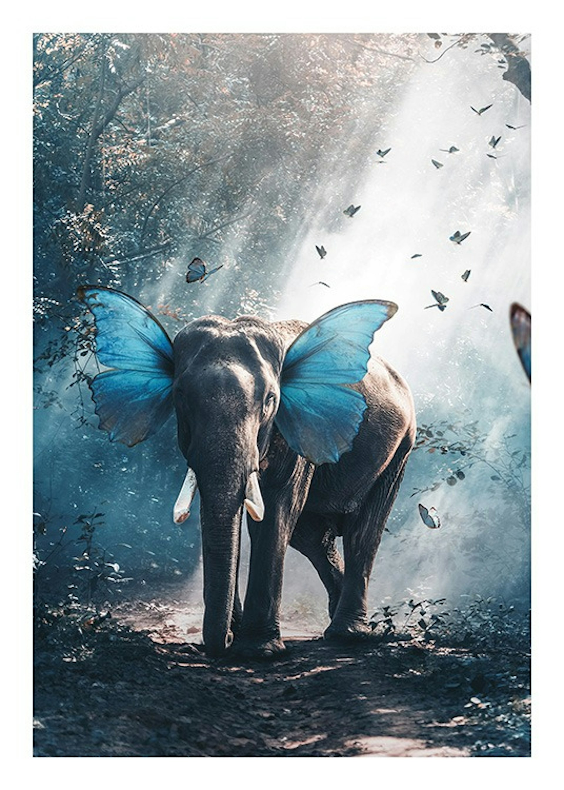 Animal art prints | Posters with animals | Desenio.com