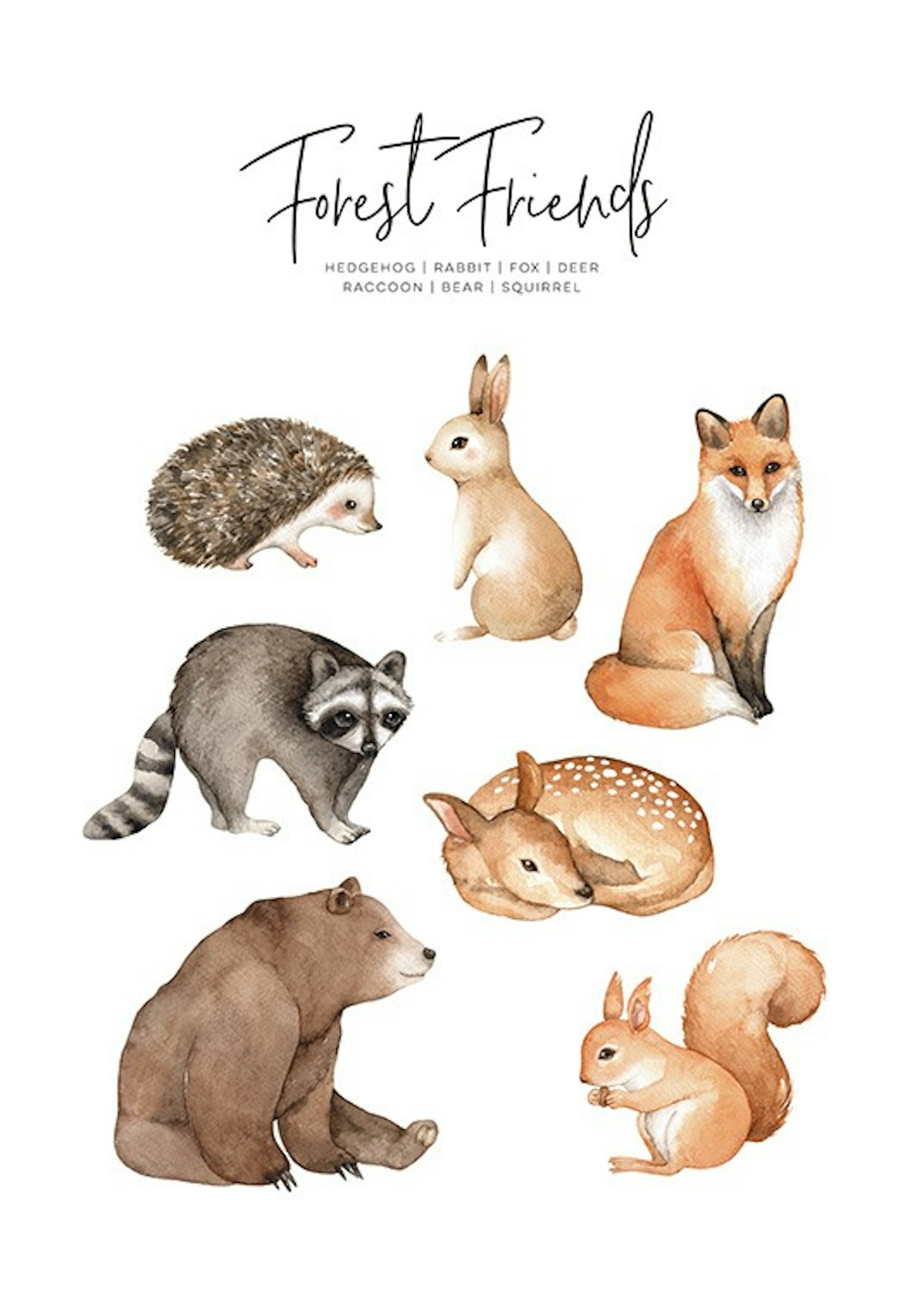 Forest Animals Poster