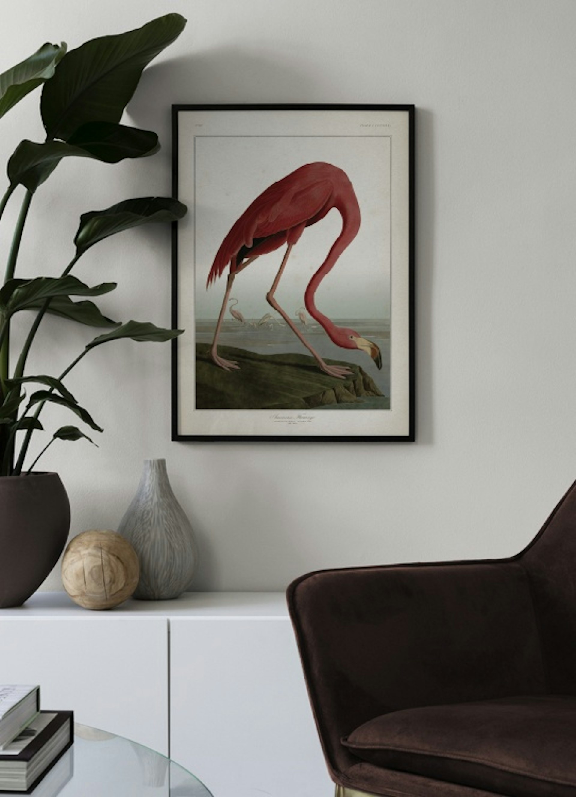 American Flamingo Poster