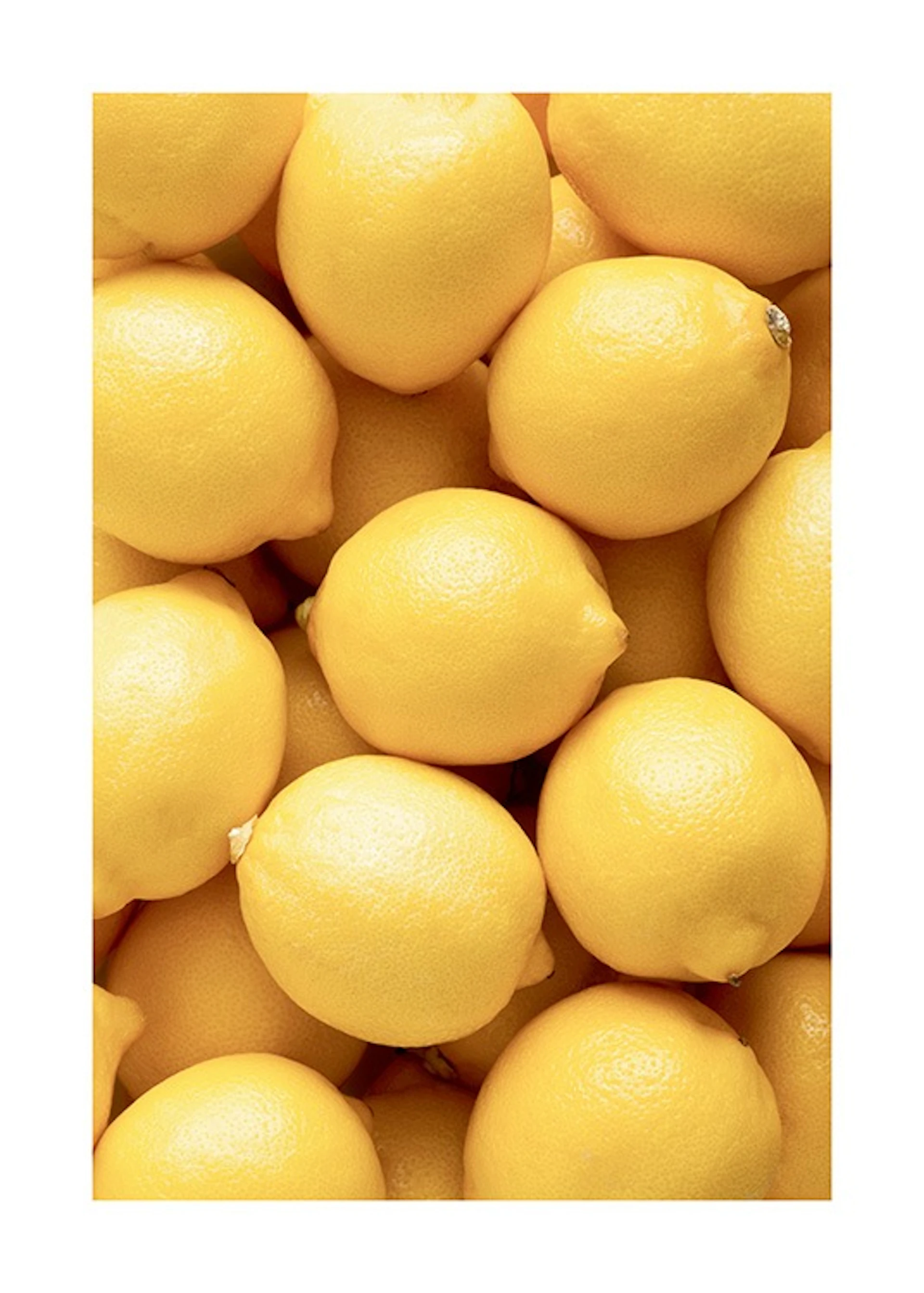 Obst-Poster | Poster mit Obst-Motiven | Desenio.ch