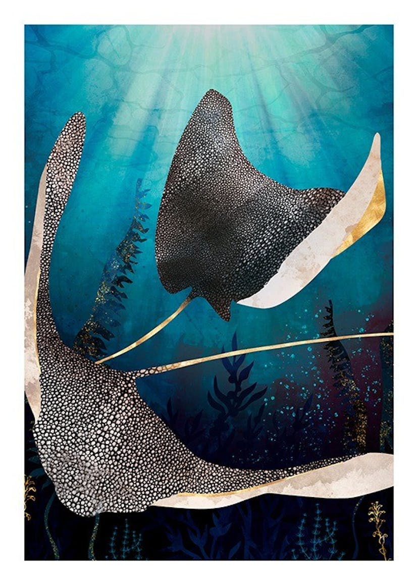 Metallic Stingray Poster - Grafiska stingrockor - desenio.se