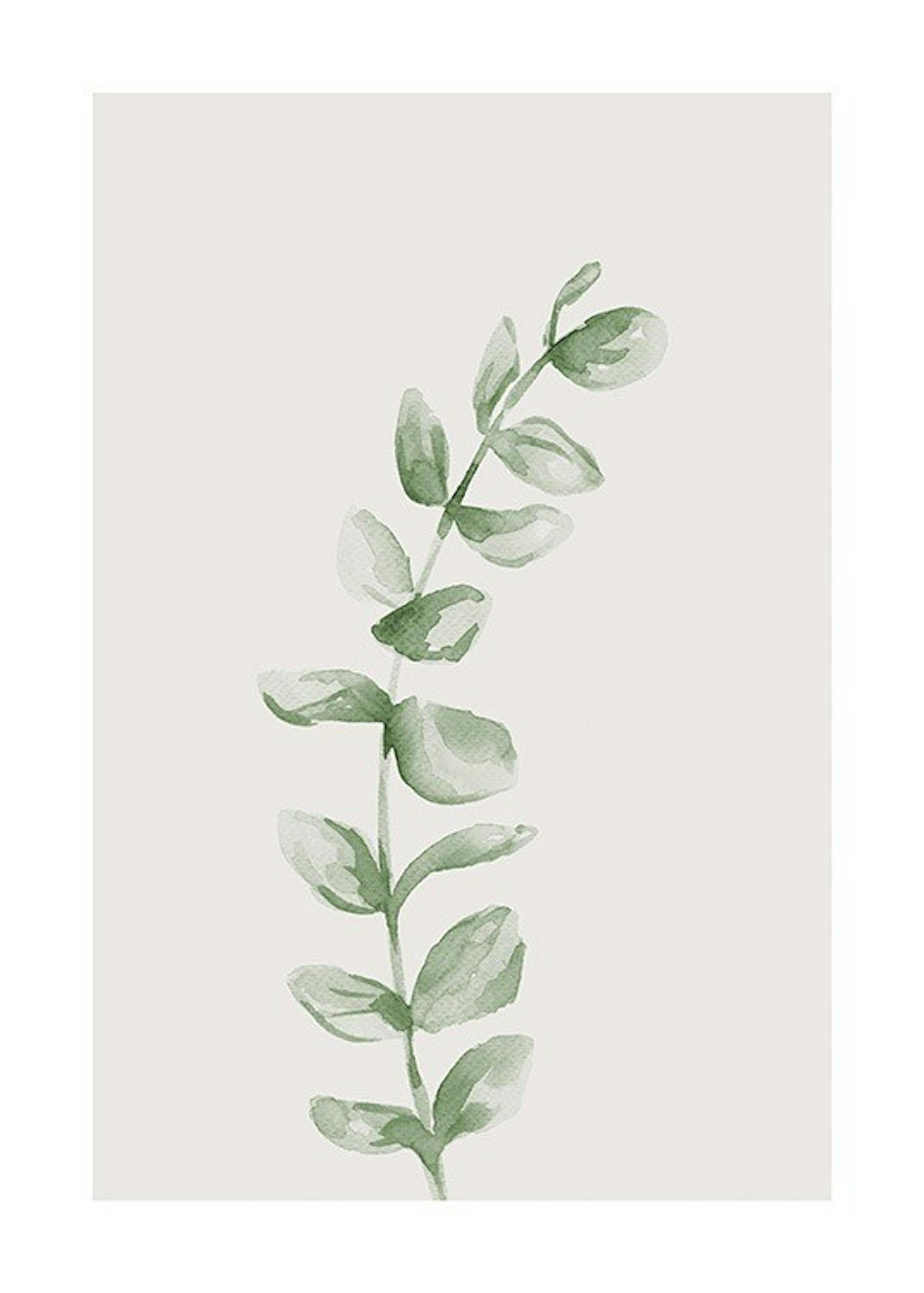 Eucalyptus Shades No1 Poster - Gröna eukalyptusblad - desenio.se