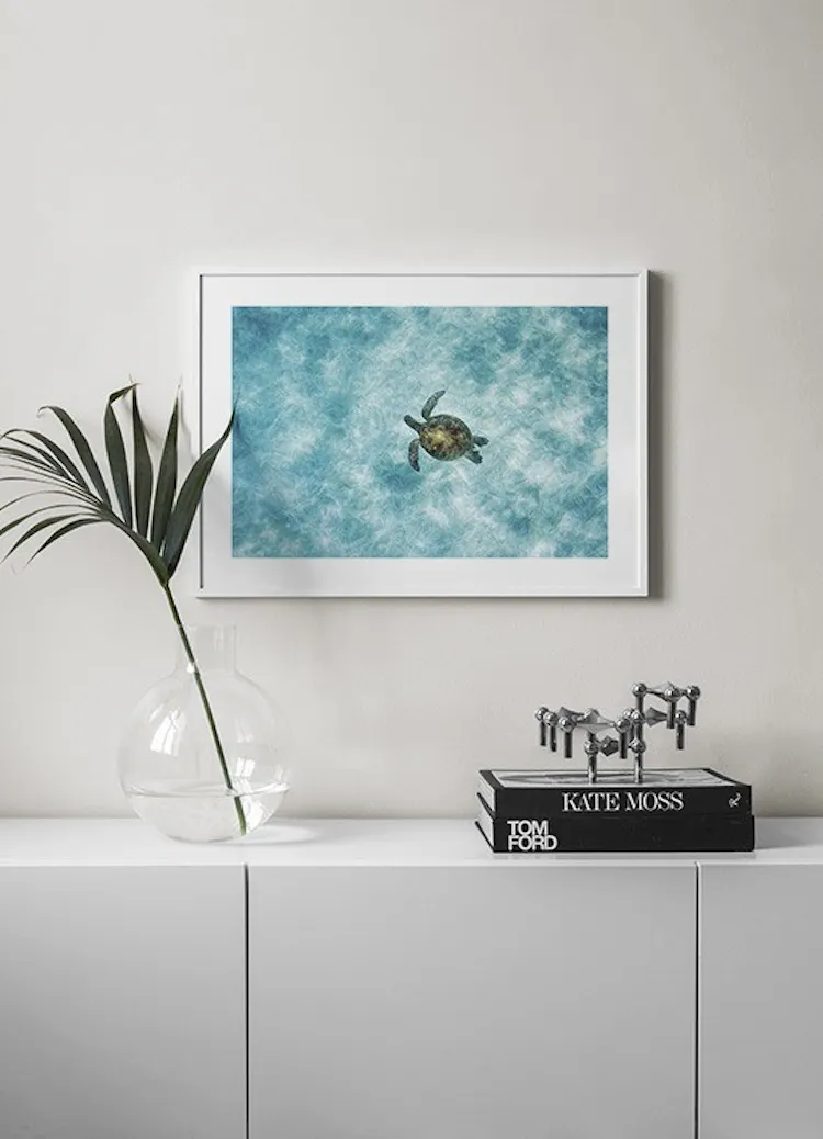 Green Sea Turtle Poster - Sea turtle - desenio.com
