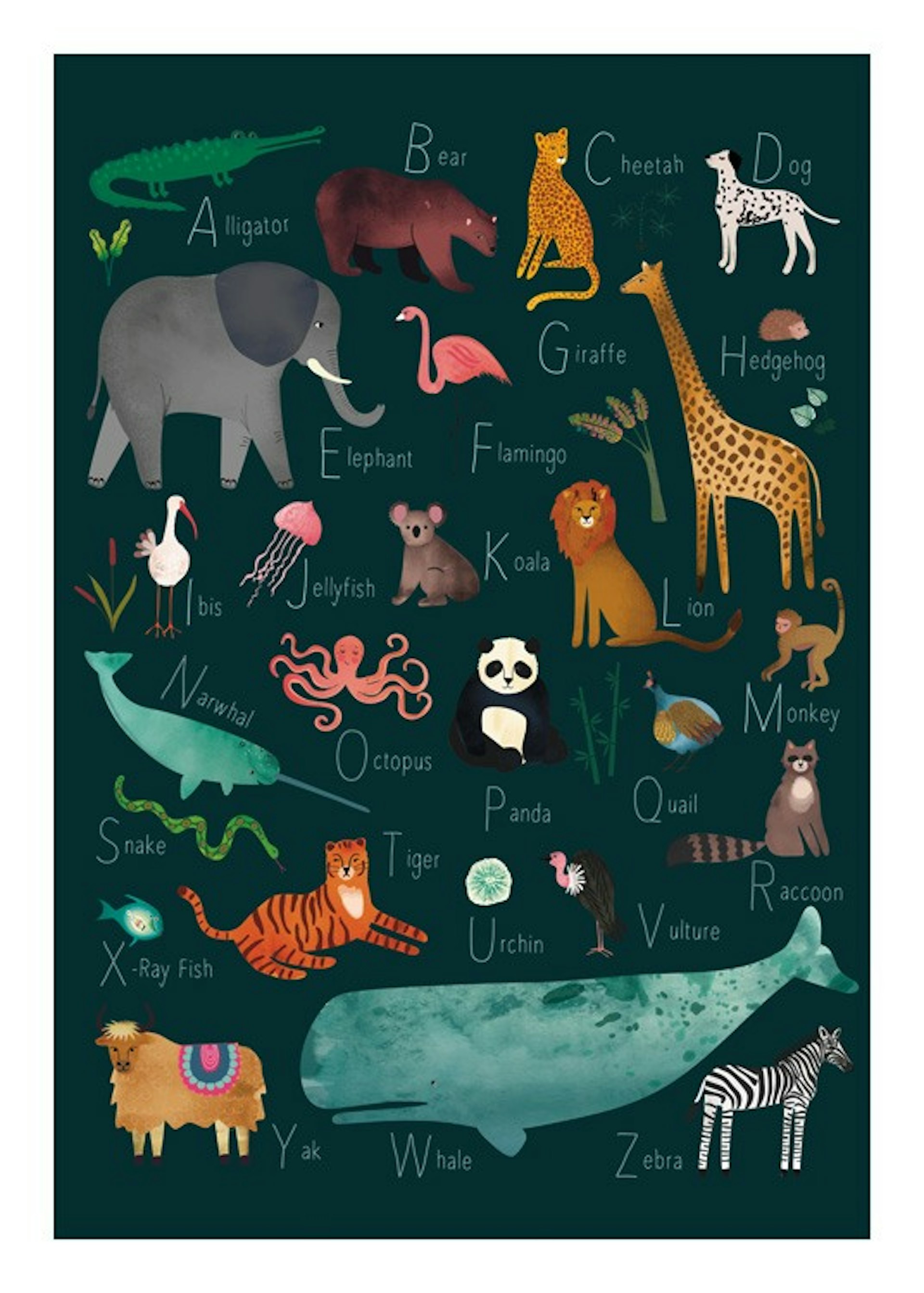 Alphabet posters online | Prints of the alphabet | Desenio.com