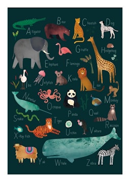 Colorful Fruits Poster