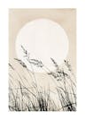 Sunset Reeds Poster - Black reeds - desenio.com