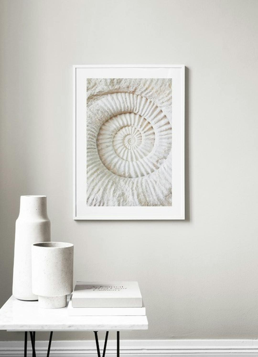 Ammonite Fossil Poster - Wit fossiel - desenio.nl