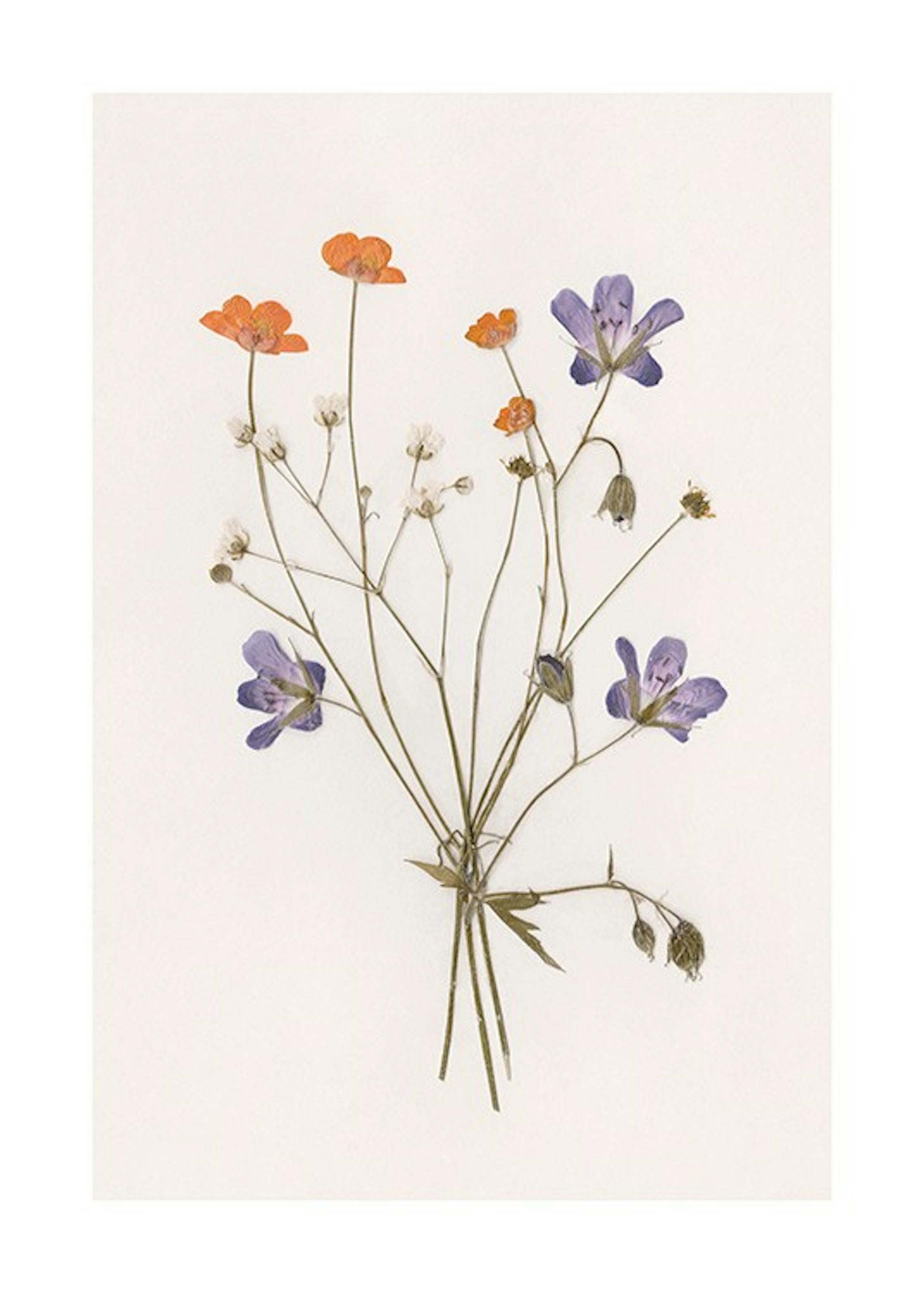 Pressed Flowers No1 Poster - Small pressed flowers - desenio.co.uk