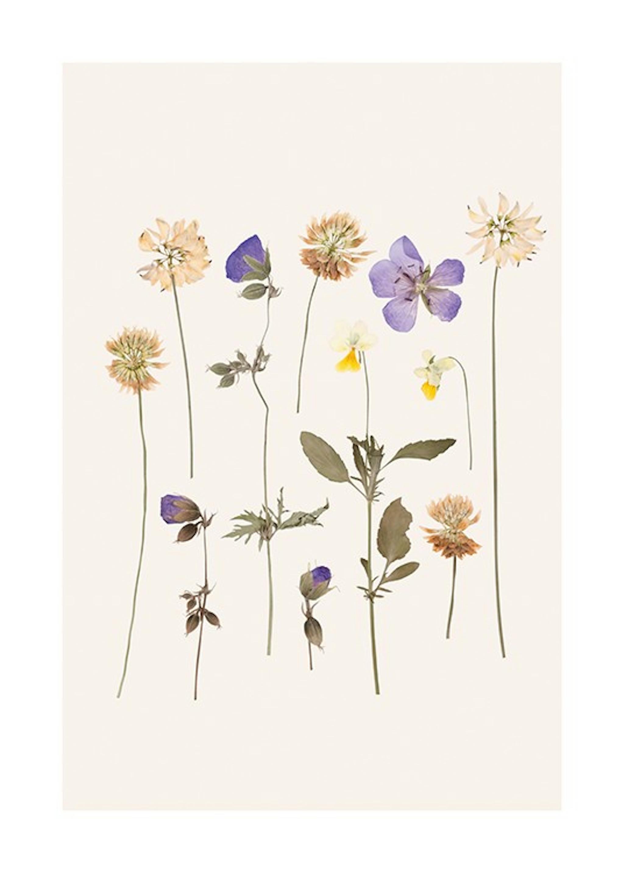 Prints & Posters | Trendy Wall Art Online at Desenio