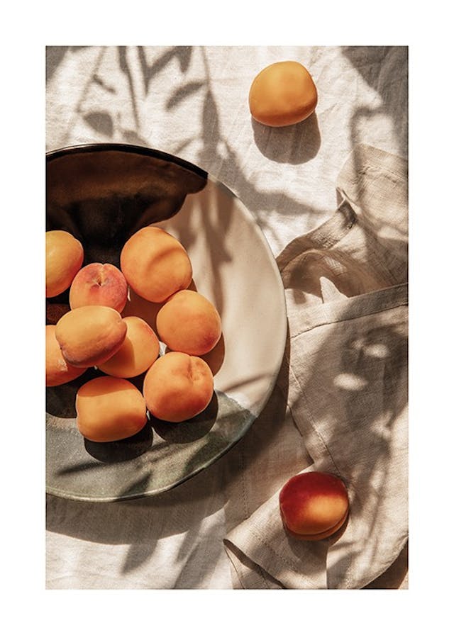 Apricots In Sunlight Poster - Sunshine on apricots - desenio.com