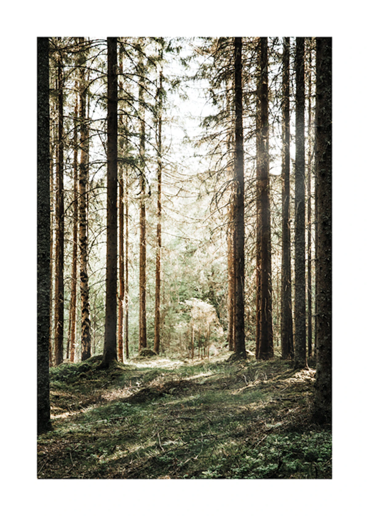 Green Moment gallery wall - Lines and nature - desenio.com