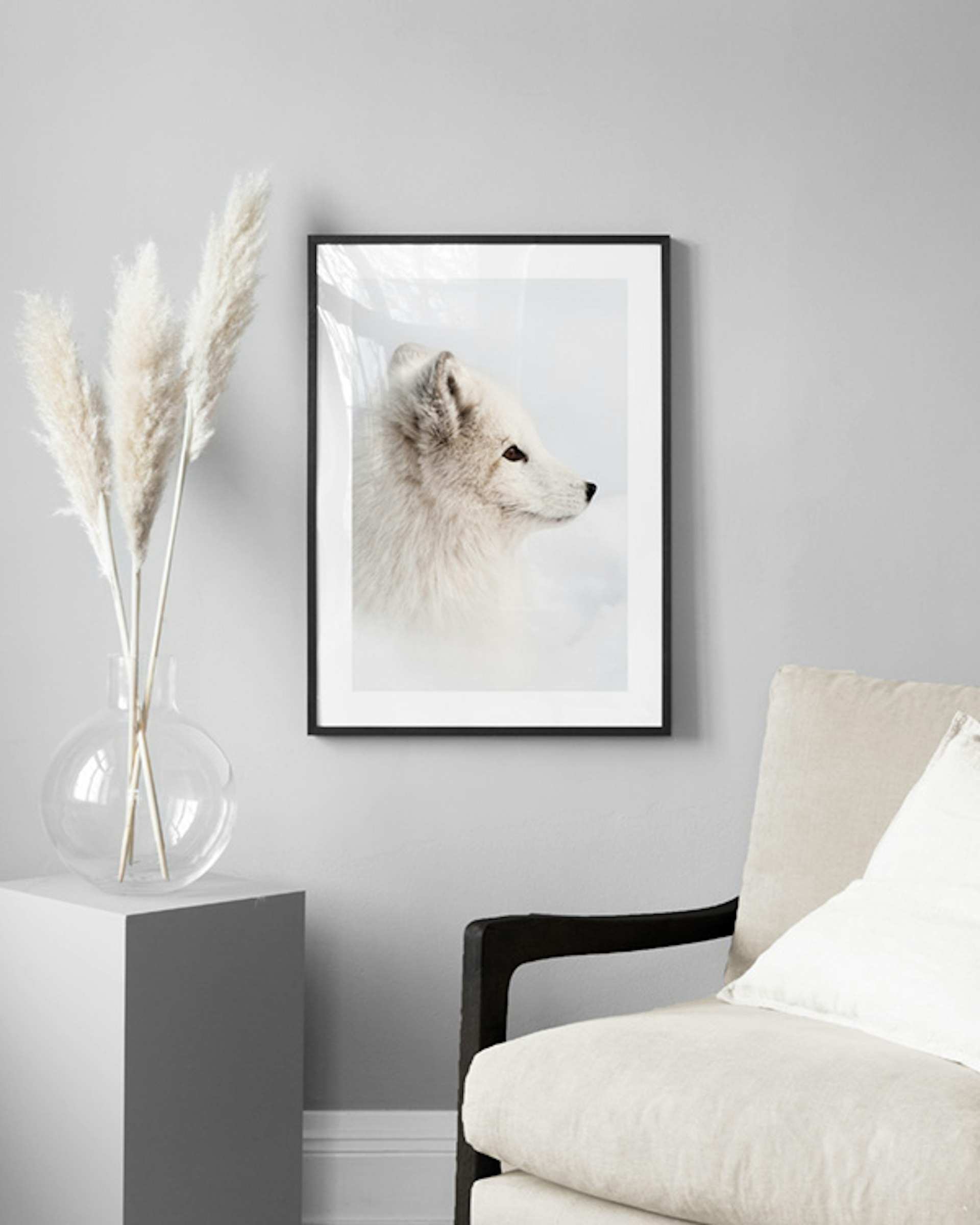 Arctic Fox Plakat - Hvid ræv - desenio.dk