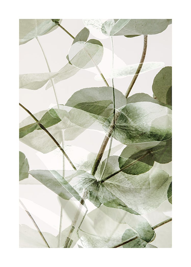 Painted Leaves Poster