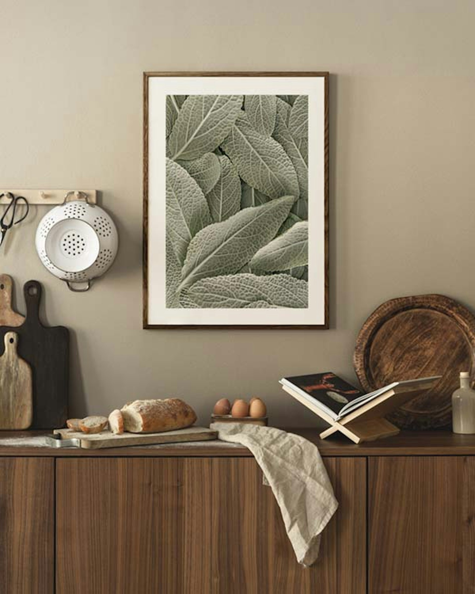 Sage Poster - Grön salvia i närbild - desenio.se