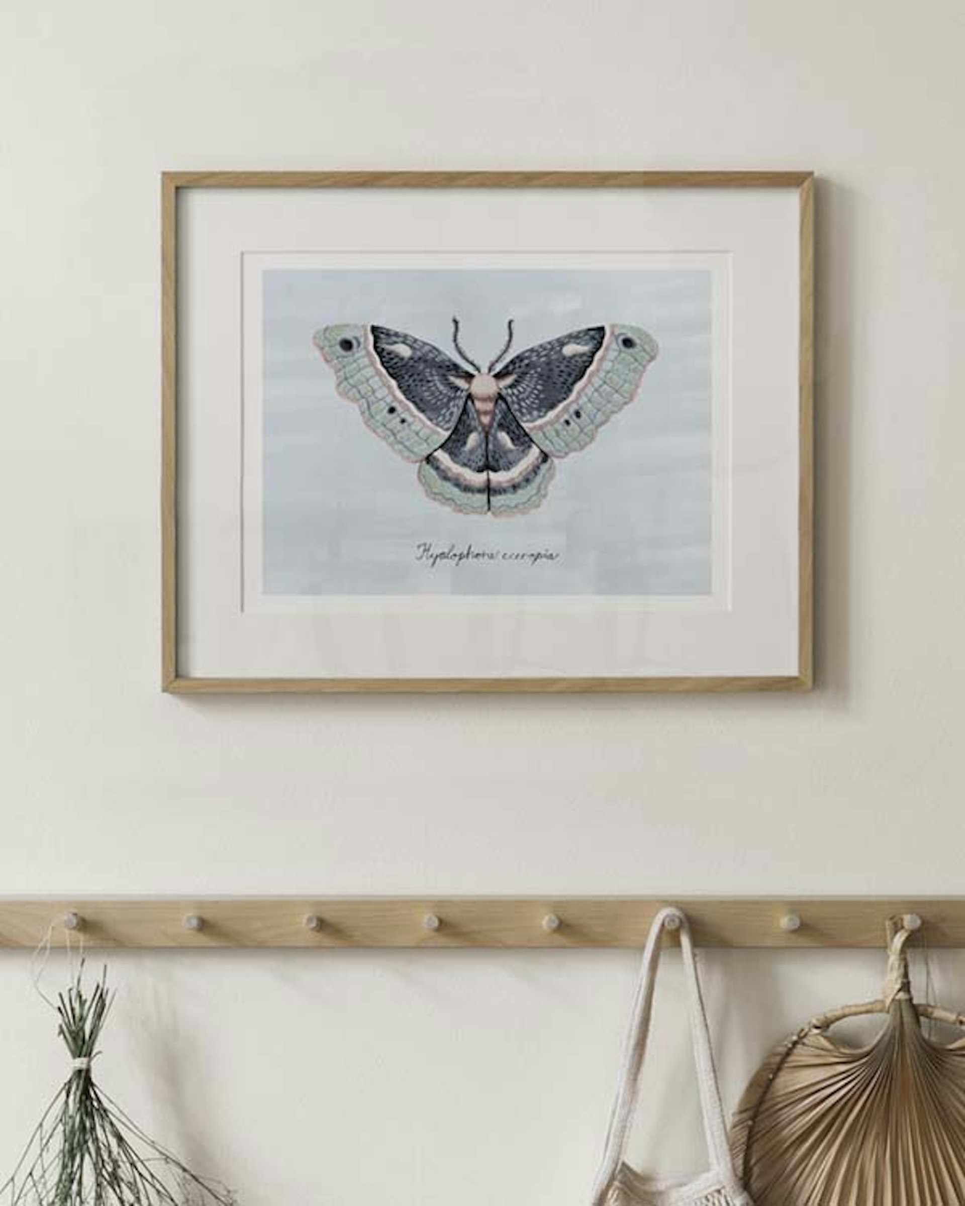 Painted Moth Poster