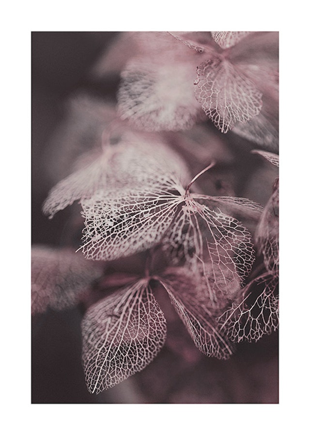 Floral prints | Posters with floral designs | Desenio.eu