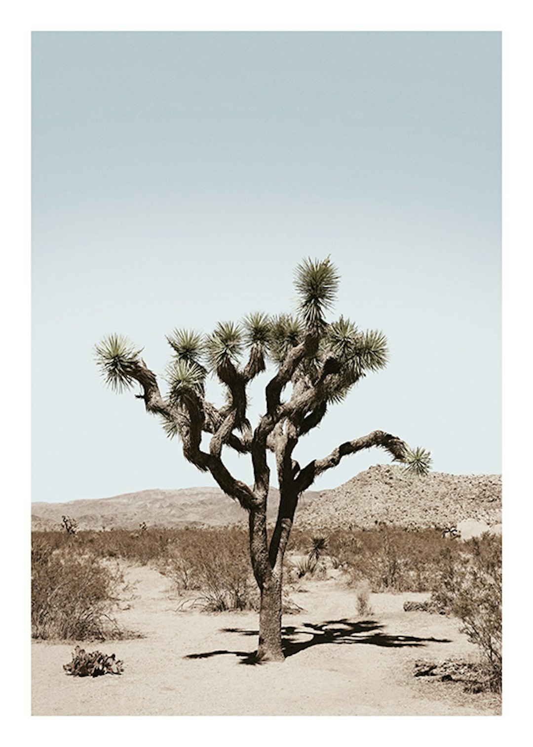 Iconic Hollywood Alley Poster