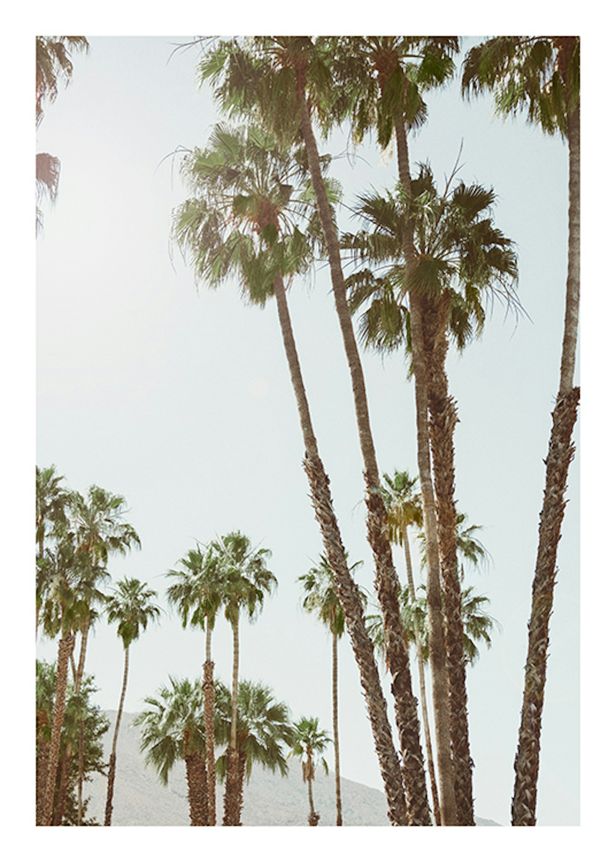 Iconic Hollywood Alley Poster