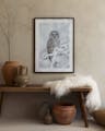 Barred Owl Poster