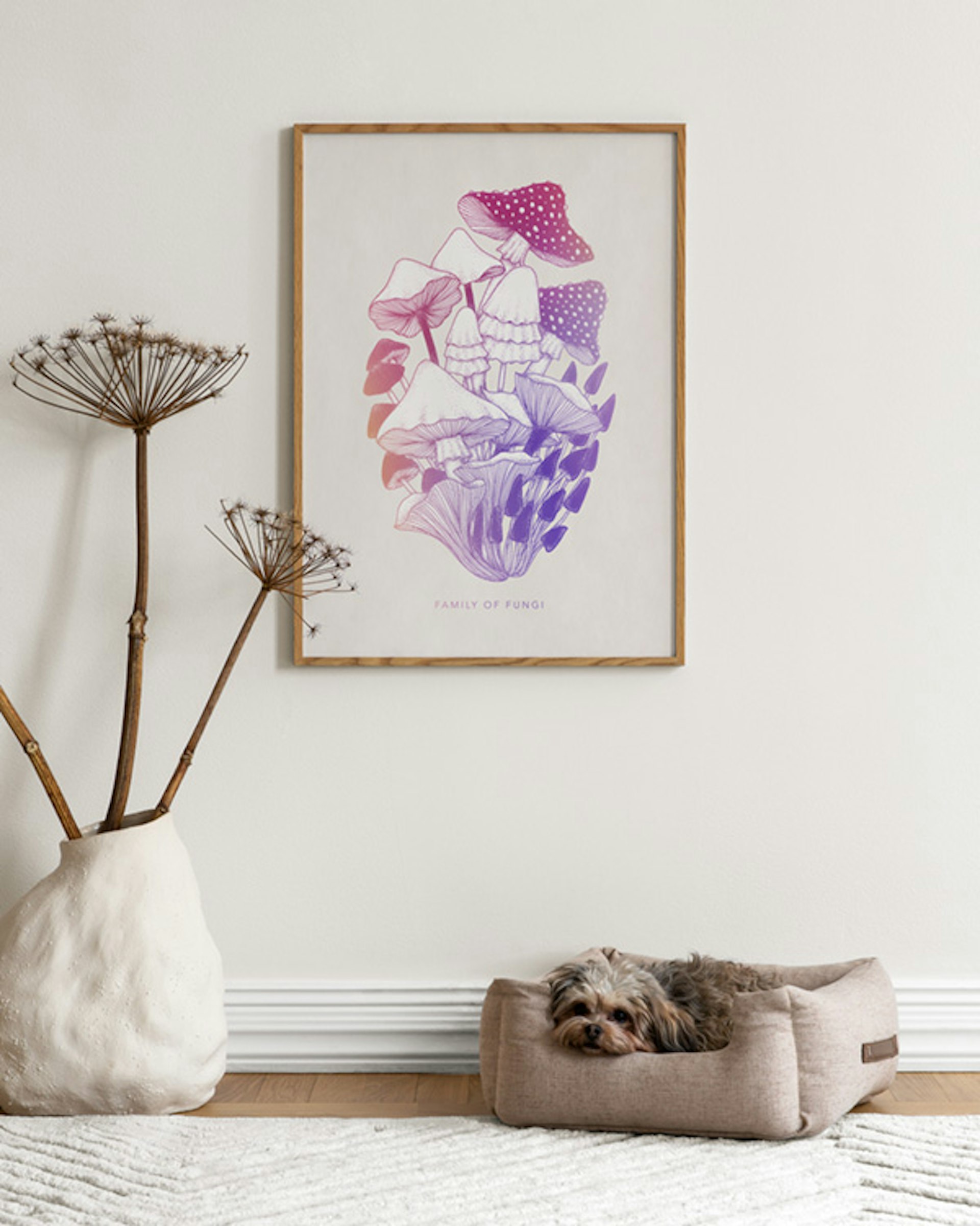 Family of Fungi Poster