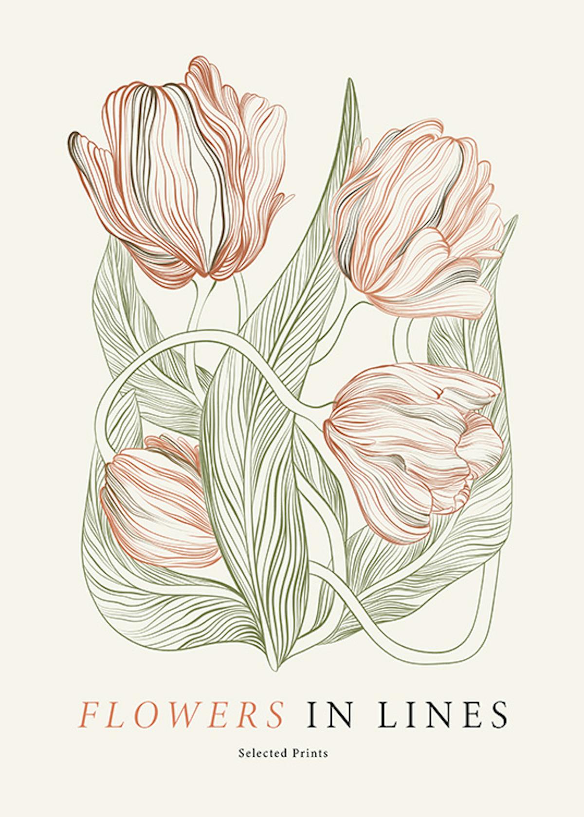 Line art-posters | Posters med line art-motiv | Desenio.se