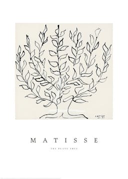 Matisse - The Plane Tree Print