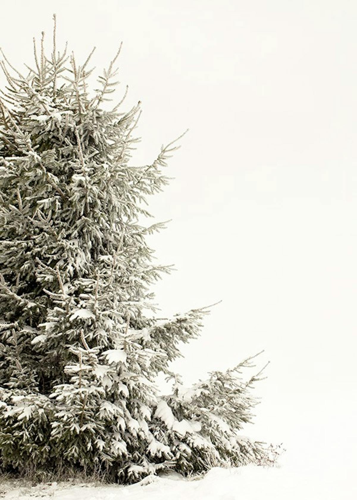 Snowy Holiday Tree Poster