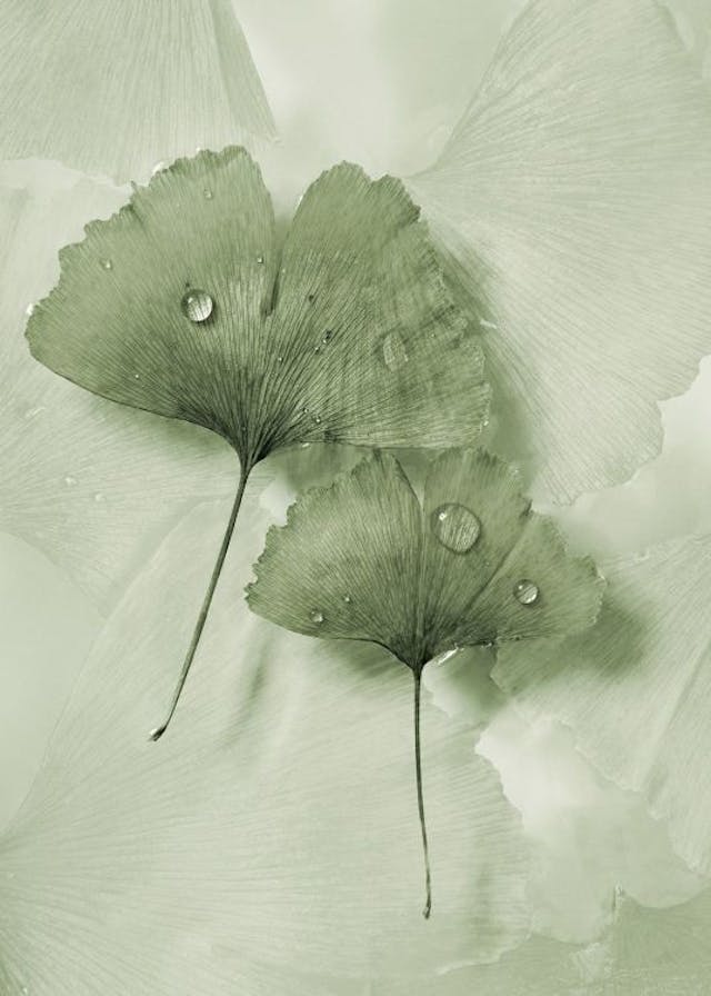 Tableaux et posters | Achetez des tableaux modernes chez Desenio.ca