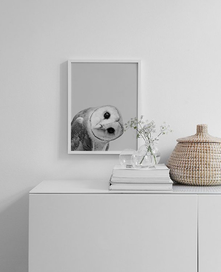 Owl Peekaboo Poster