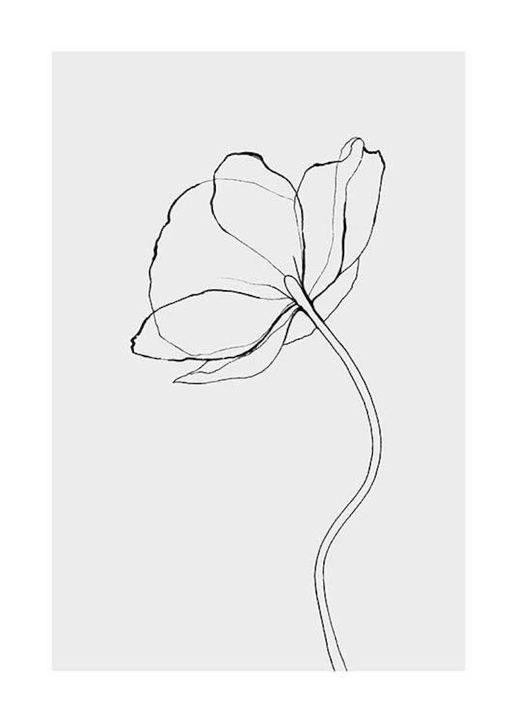 Line Poppies Plakat