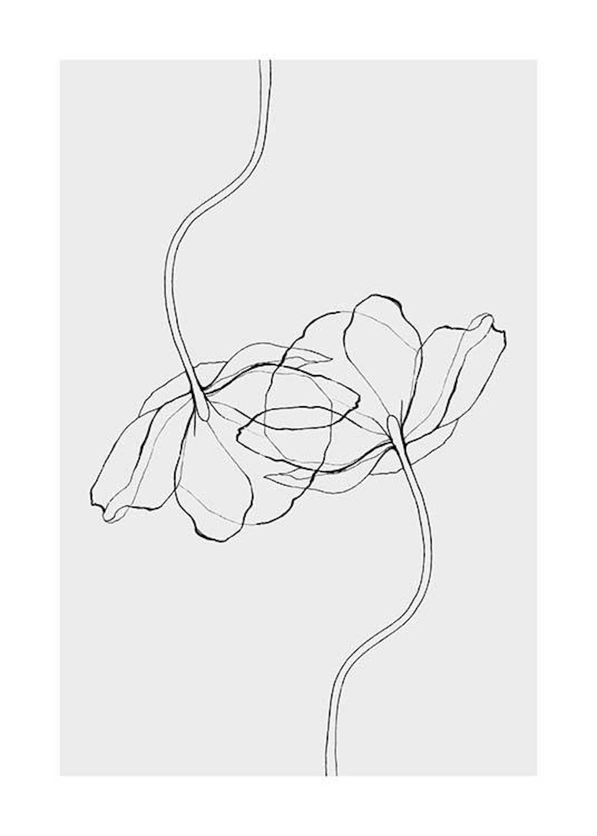 Stampe Line art | Poster con soggetti line art | Desenio.it