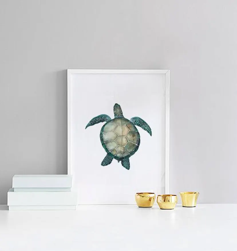 Sea Turtle, Poster