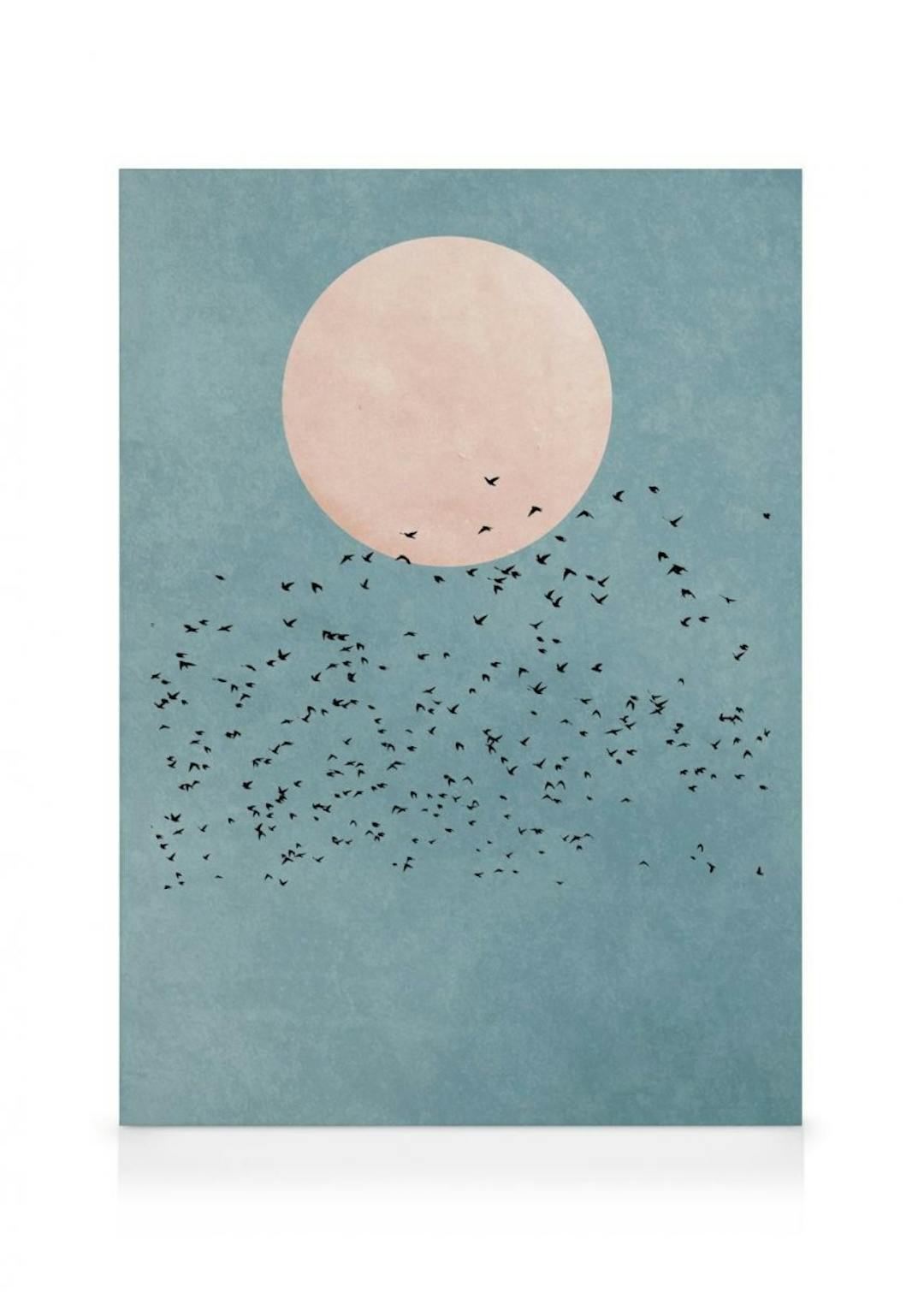 Graphic canvas prints & canvas wall art | Desenio.co.uk