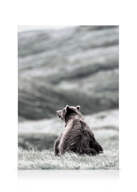 Thinking Bear Canvas print