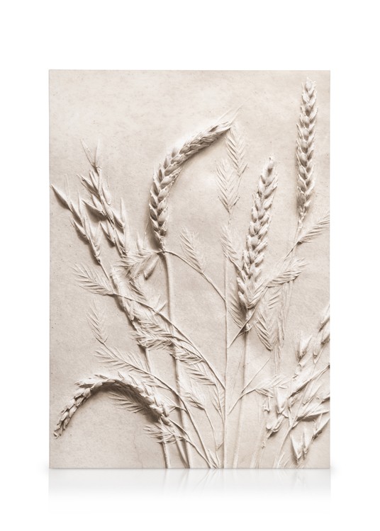 Relief Wheat Tableau sur toile - Blé beige - desenio.be