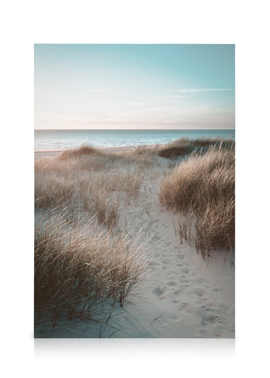 Sunset Beach Dune Lærred - Græs på klitter - desenio.dk