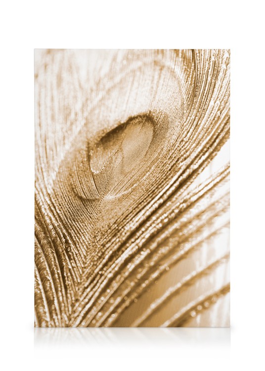 Golden Feather Stampa su tela - Piuma di pavone oro - desenio.it