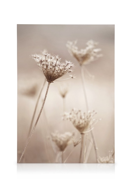 Wildflowers in Beige Tableau sur toile - Fleurs sauvages beiges ...