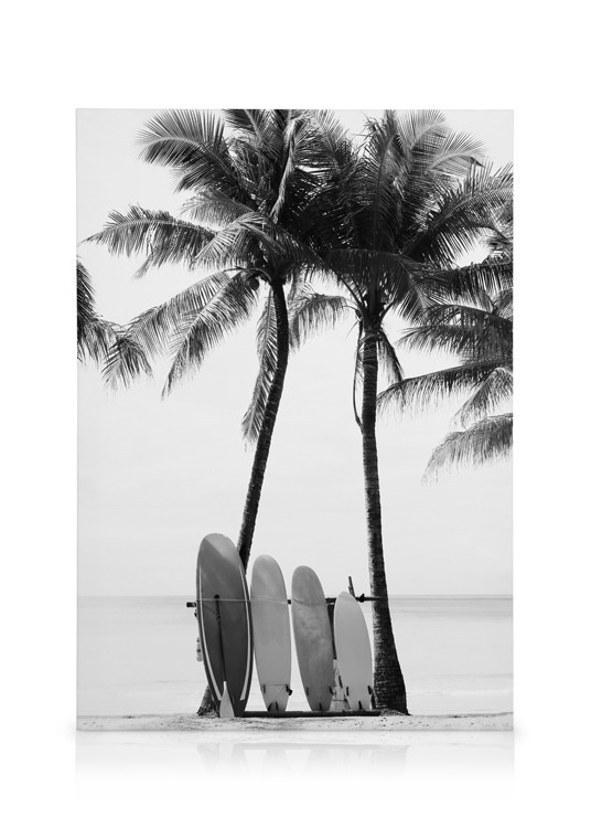 Surfboards BW Tableau sur toile - Planches de surf et palmiers - desenio.fr