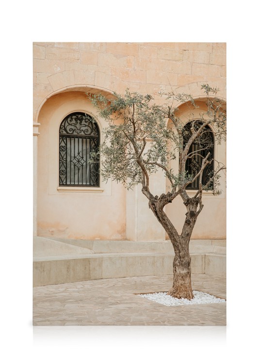 Lonely Olive Tree Canvas print - Olijfboom - desenio.nl