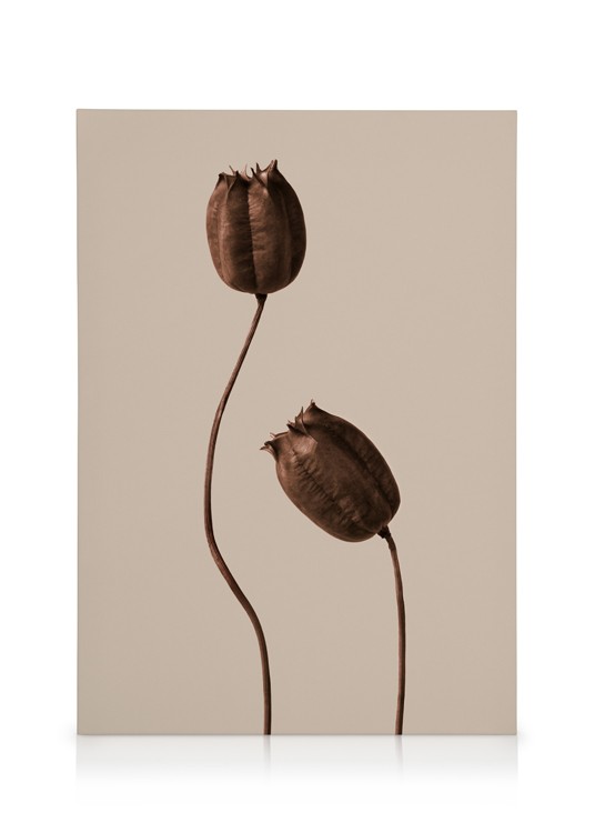 Brown Flowers Lærred - Blomsterpar brun - desenio.dk