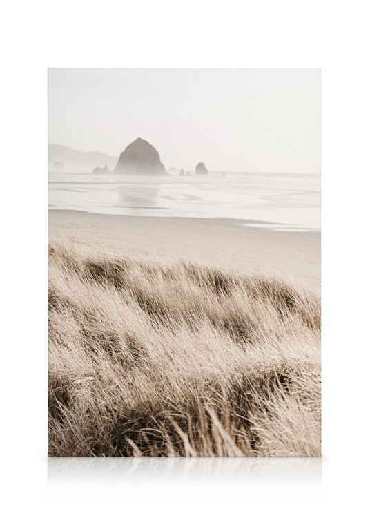 Morning Beach Tableau sur toile - Plage beige - Desenio.ca