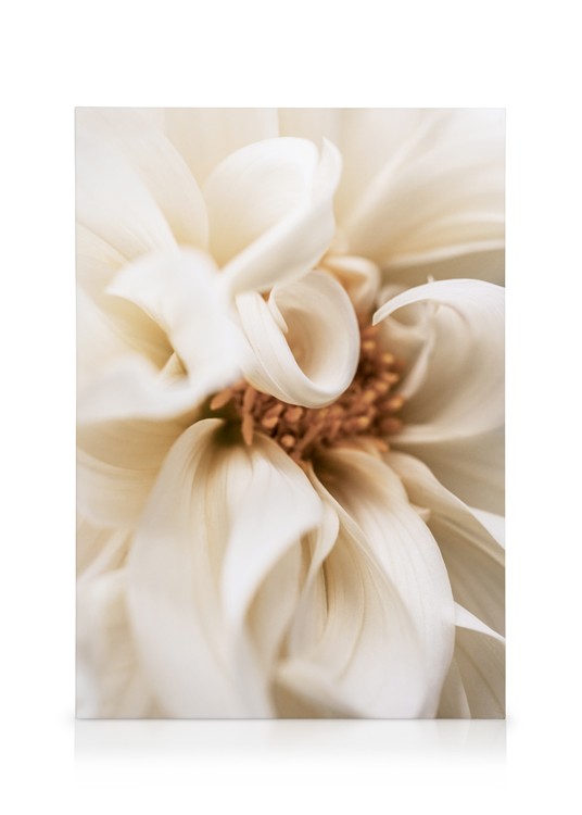 Warm Flower No1 Tela