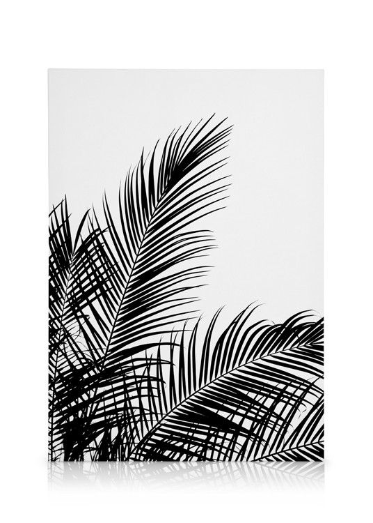 Black Palm Tree Two Canvas print