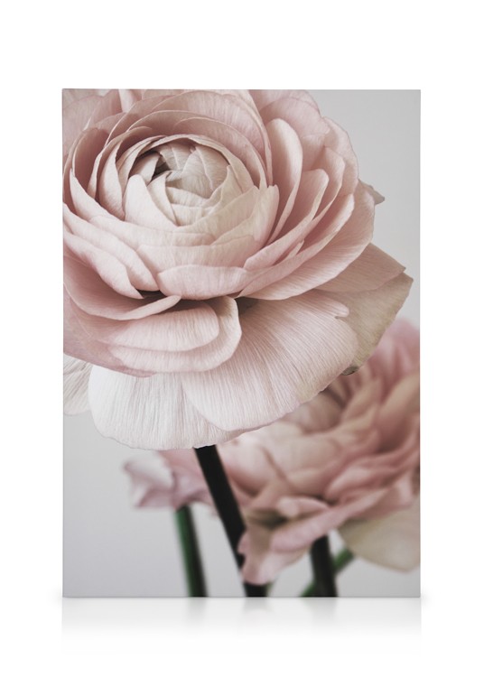 Pink Flower Dream No2 Tableau sur toile - Fleurs roses - desenio.fr