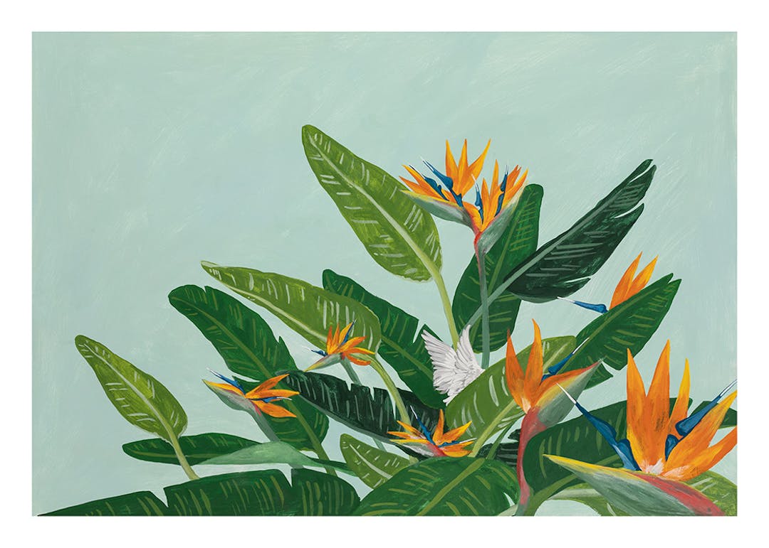 Jaron Su prints | Featured Artists | Desenio.com