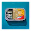 Kate Birch - Tin of Sardines Poster