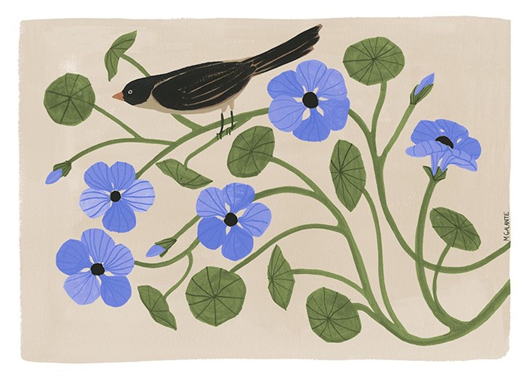 Megan Galante - Garden Pansey Print